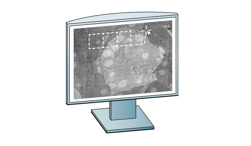 FAST-EM | Ultra-fast automated multibeam electron microscope